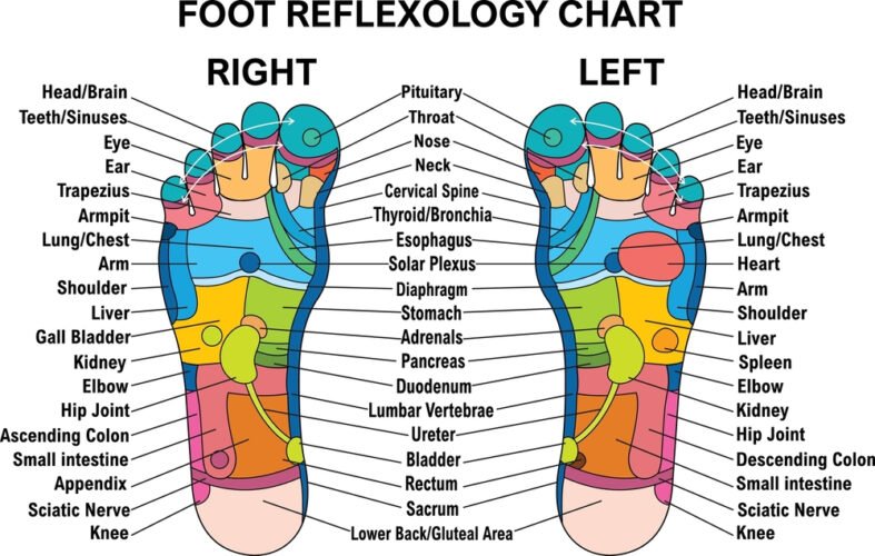 How To Massage Your Feet Properly